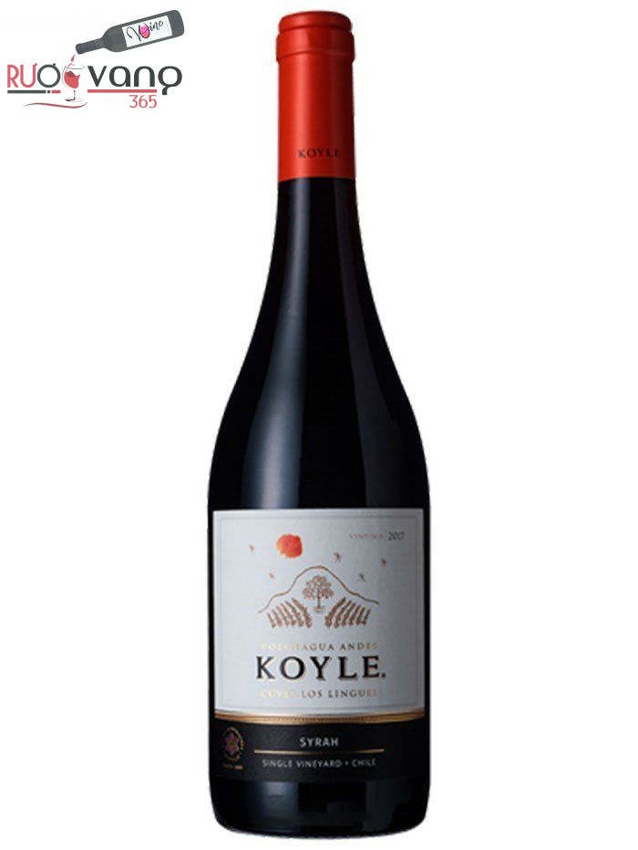 VANG CHILE KOYLE GRAN RESERVA SYRAH - Rượu vang 365